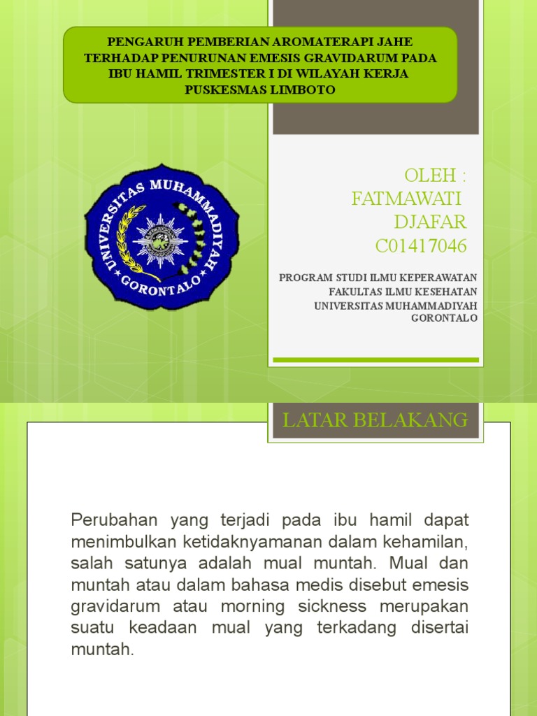 Seminar Proposal Fatma | PDF