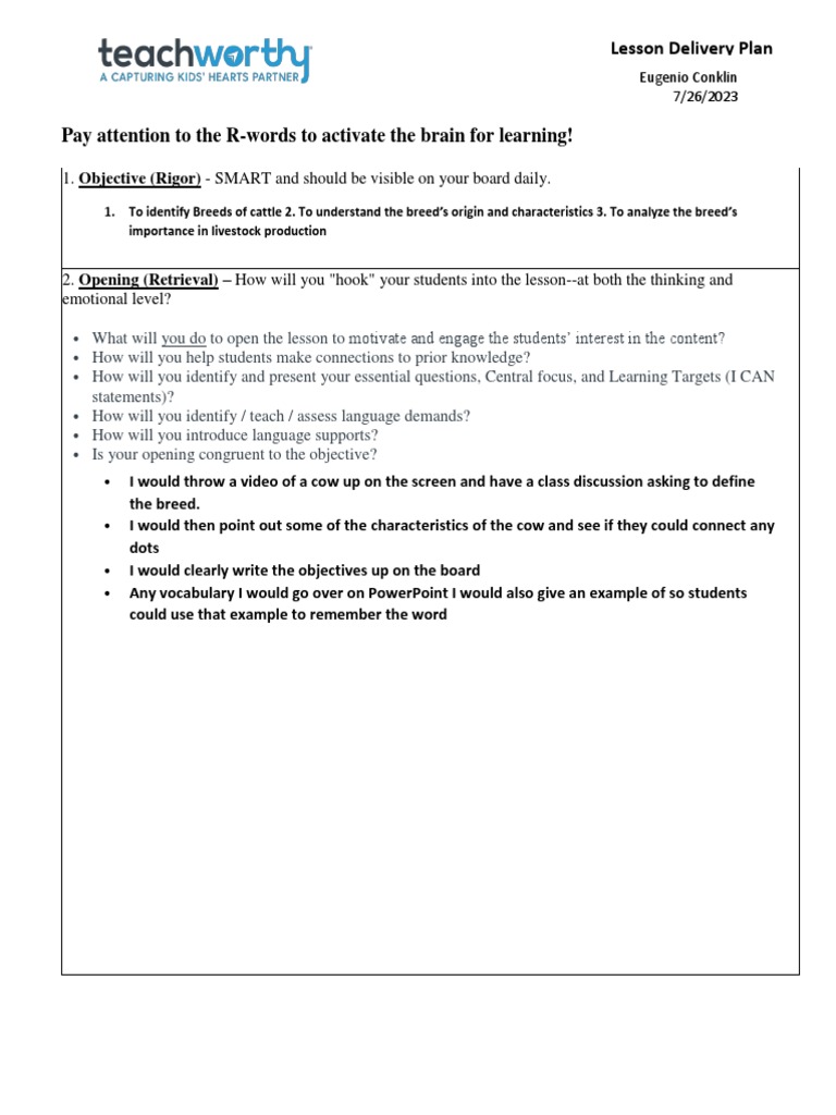 Lesson Plan Delivery | PDF | Worksheet | Learning