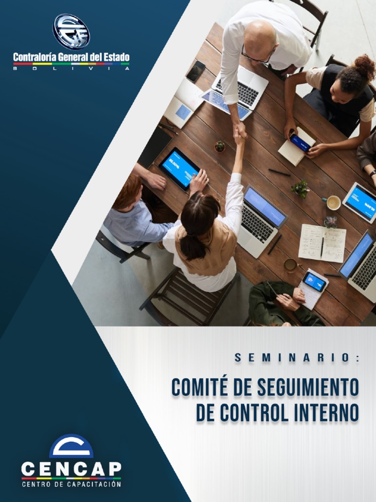 Seminario de Comit - S de Seguimiento de Control Interno | PDF | Auditoría | Responsabilidad