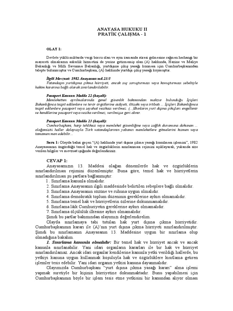 Anayasa Pratik II | PDF