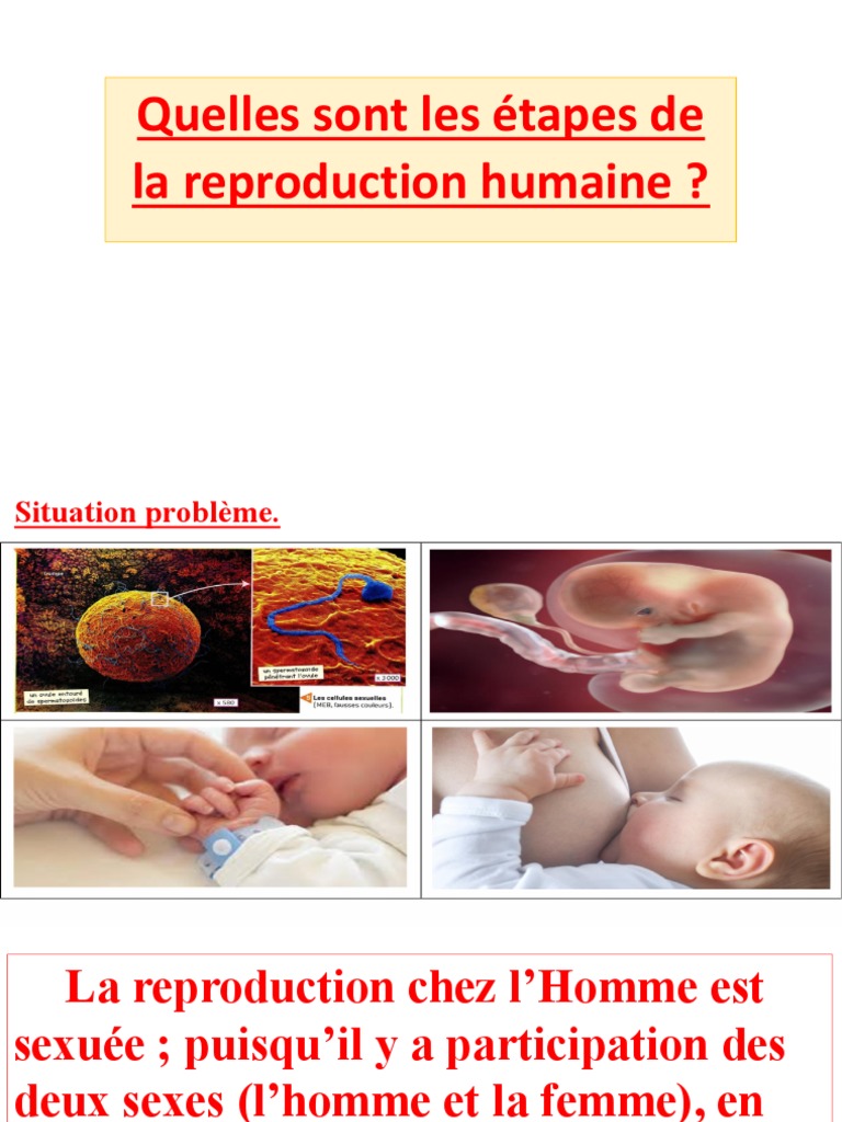 Quelles Sont Les Étapes de La Reproduction Humaine | PDF | Cycle ...