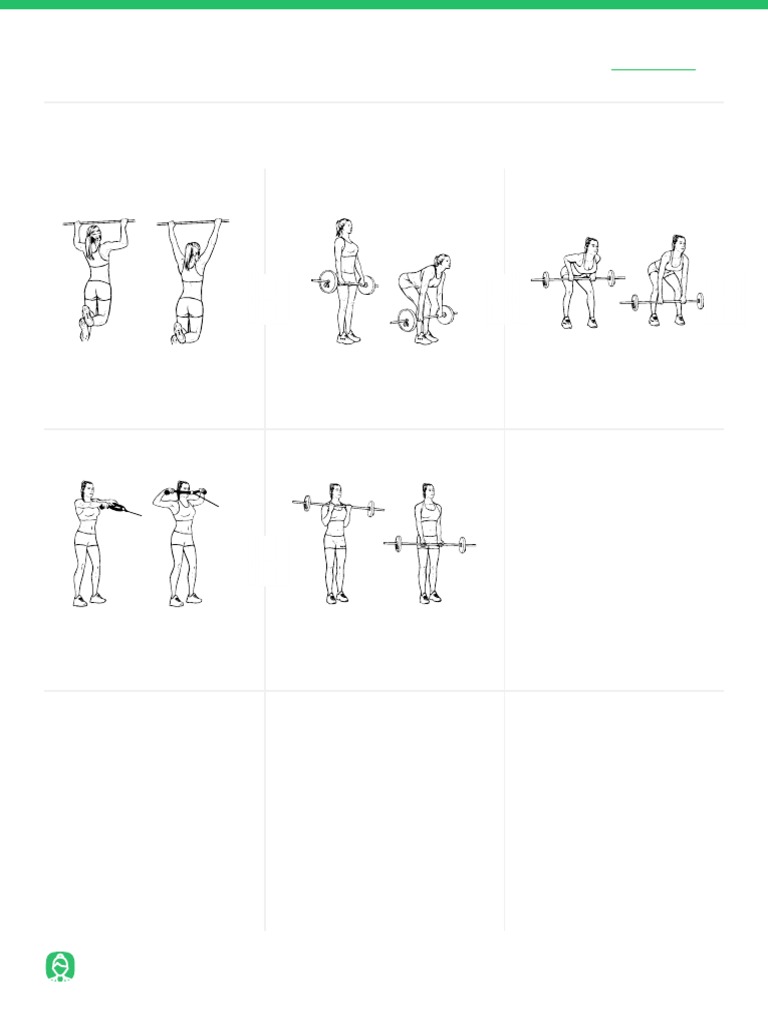 Back Biceps Sample Gym Workout | PDF