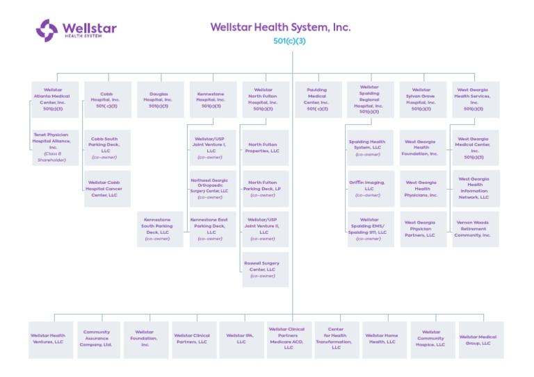 Wellstar Organizational Chart 2020 | PDF | Medicine | Public Services
