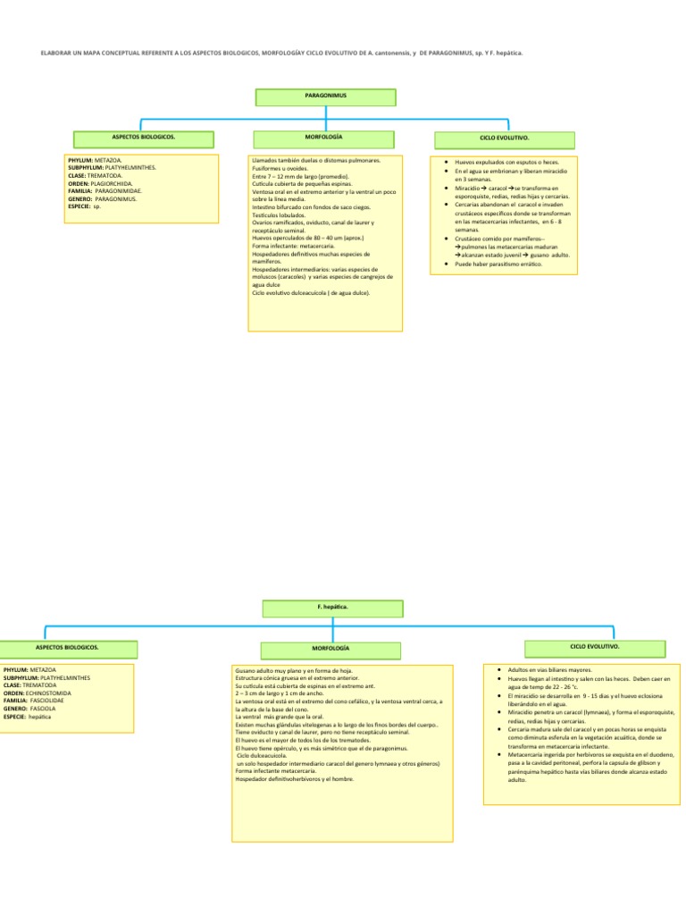Elaborar Un Mapa Conceptual Referente A Los Aspectos Biologicos | PDF