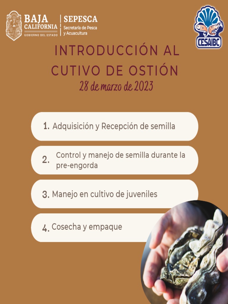 Temario Taller Ostión SF | PDF
