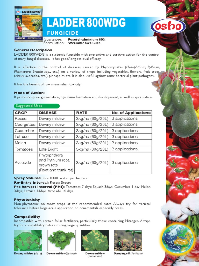 Ladder Technical Sheet | PDF
