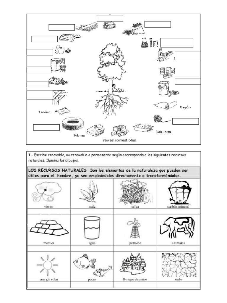 Recursos Naturales | PDF