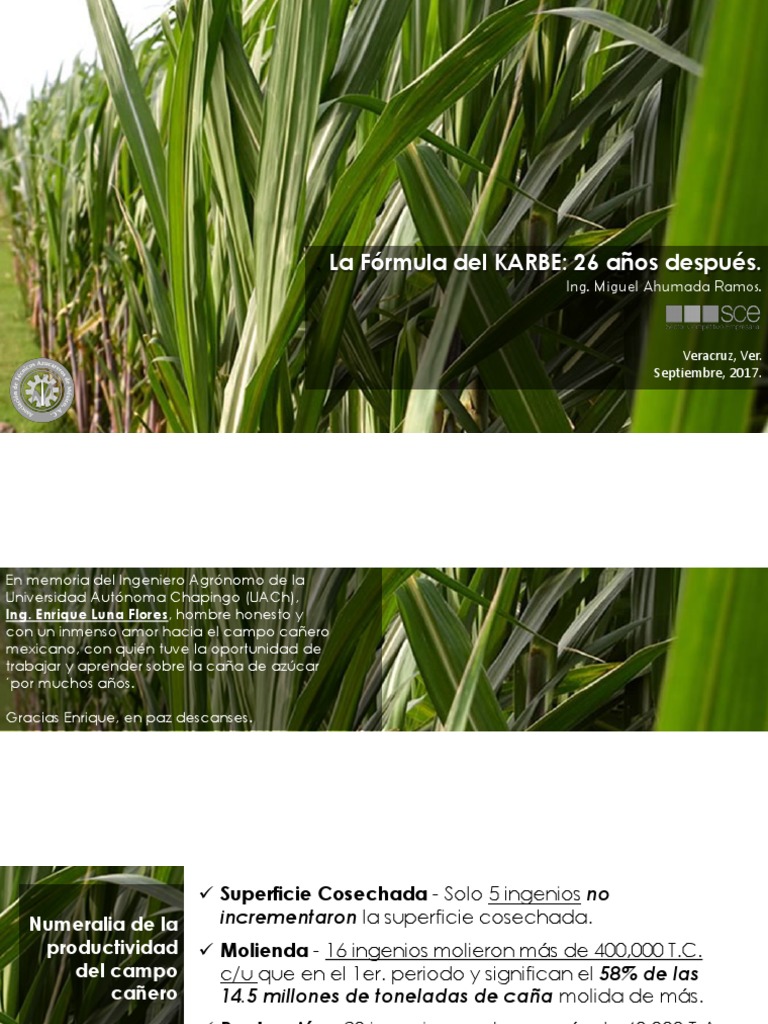 Análisis del KARBE en Ingenios Azucareros | PDF
