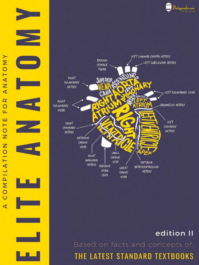 Elite Anatomy | PDF