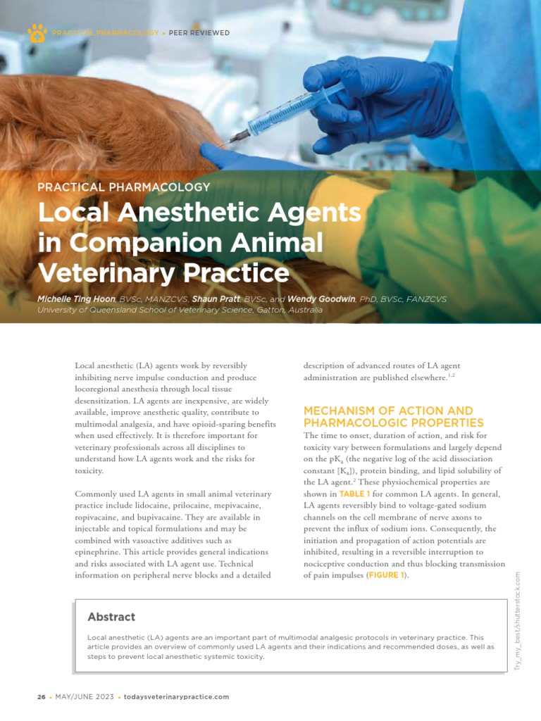 TVP-2023-0506 Local Anesthetic Agents | PDF | Anesthesia | Injection ...
