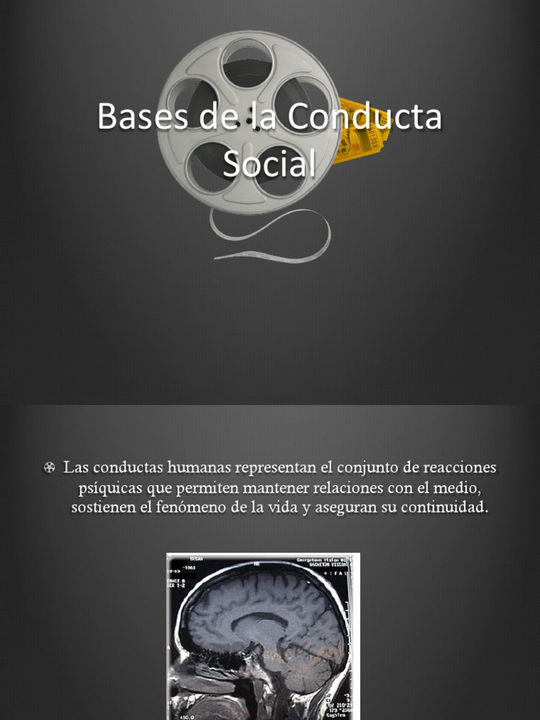 Bases Conducta Social | PDF