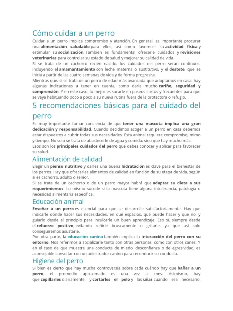 Guía esencial para cuidar a un perro | PDF