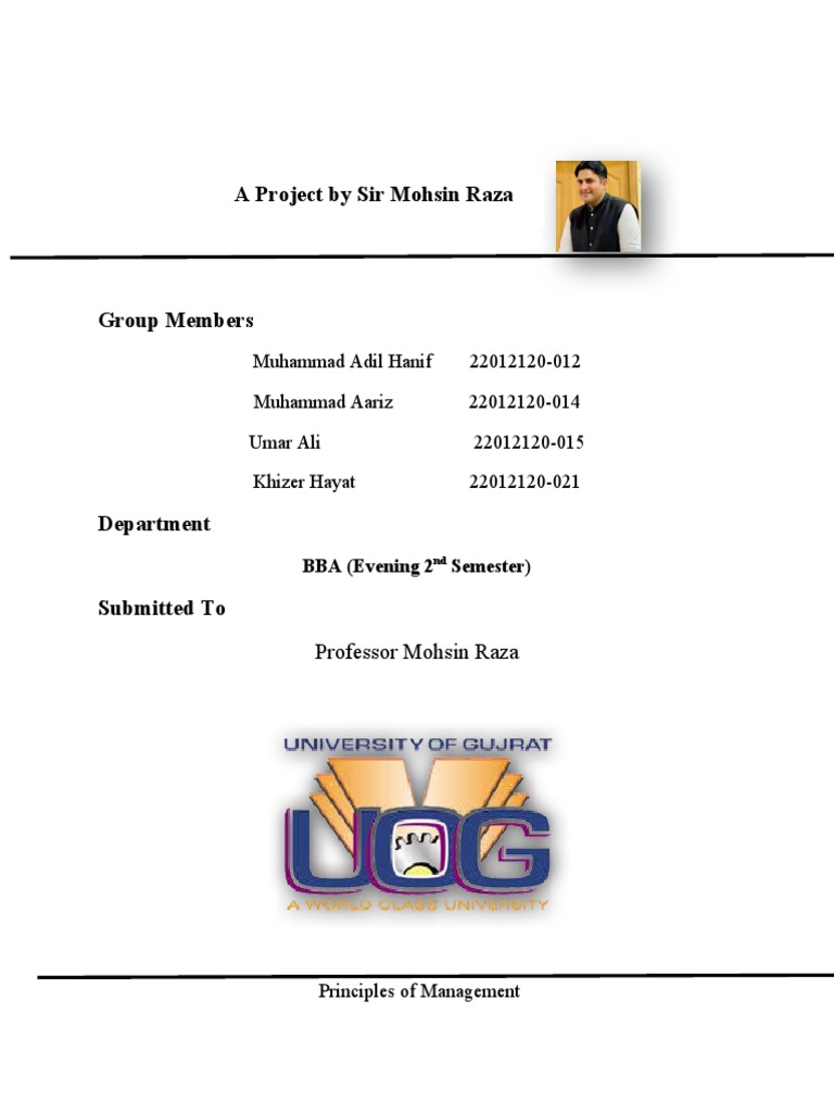 A Project by Sir Mohsin Raza (Executive Summary) | PDF | Brand | Sales