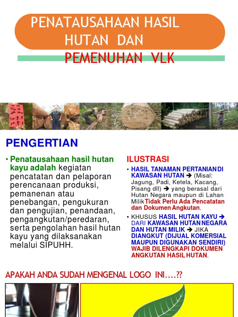 Pemanenan Hasil HUtan - PUHH Dan VLK | PDF