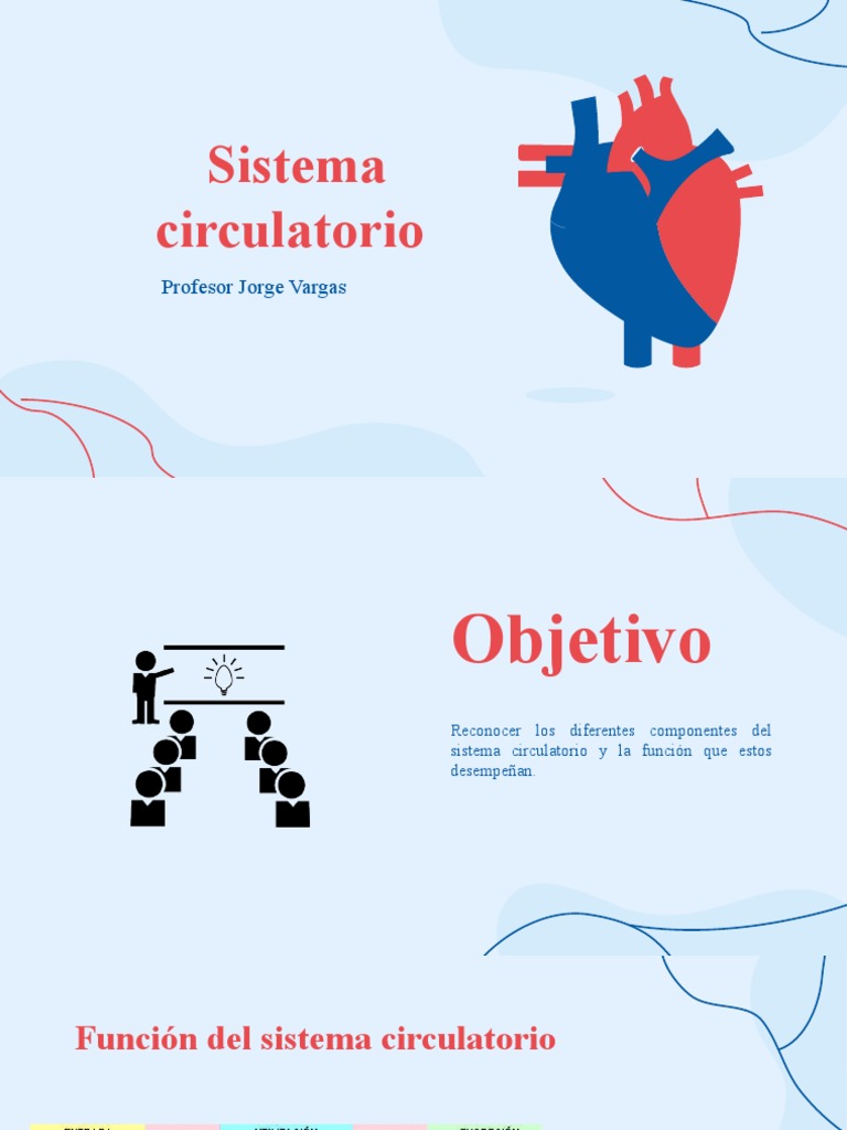 Clase 3 Sis Circulatorio | PDF | Sangre | Sistema circulatorio