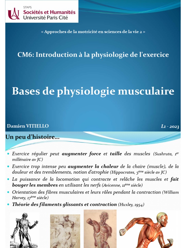 CM 6 physio | PDF
