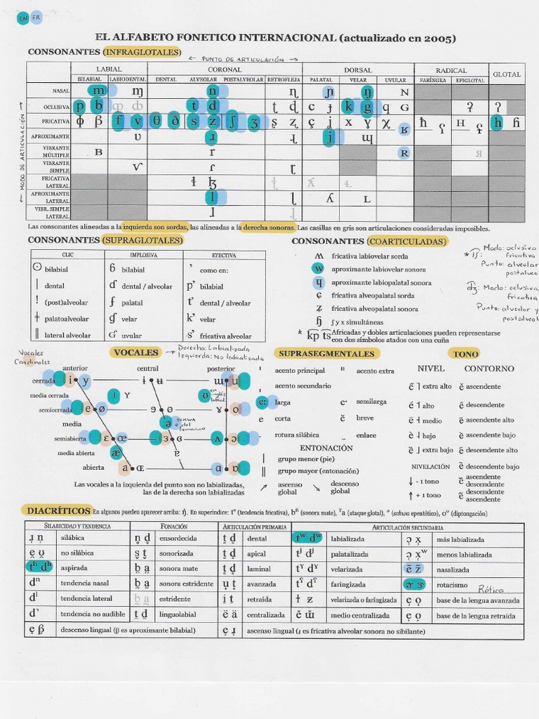 Alfabeto Fonético Internacional (AFI) | PDF