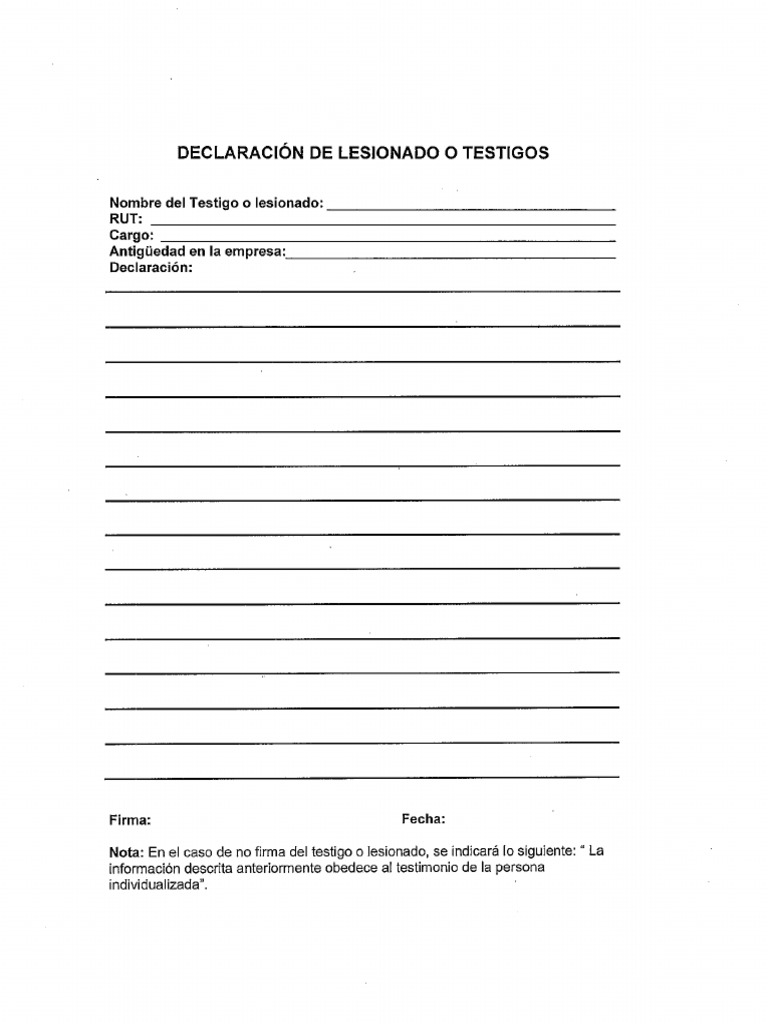 Formato Declaracion Testigo | PDF