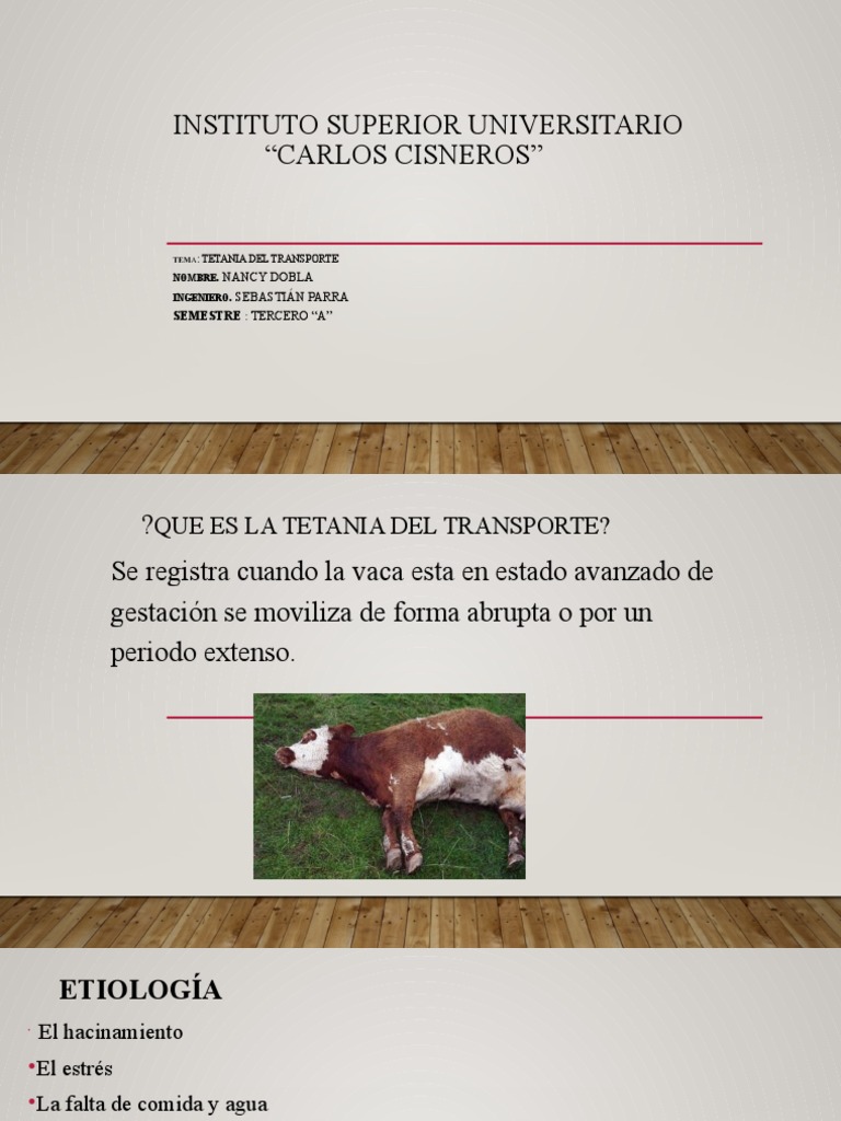 Tetania Del Transpote en Bovinos | PDF