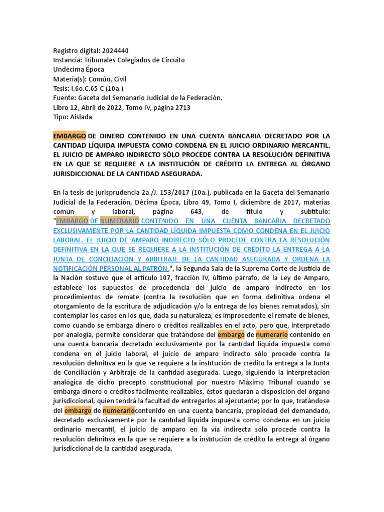 Embargo Precautorio | PDF | Daños y perjuicios | Caso de ley