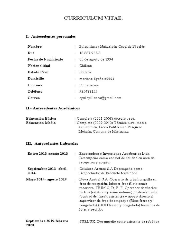 Curriculum Vitae Osvaldo | PDF