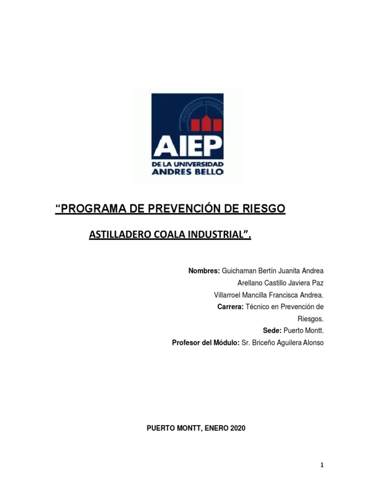 Programa de Prevención de Riesgo Final | PDF | Business | Derecho laboral