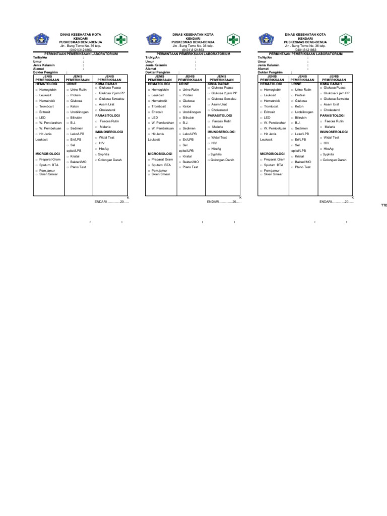 Dinas Kesehatan Kota Kendari | PDF