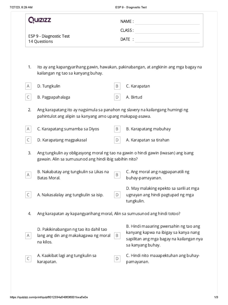 ESP 9 - Diagnostic Test | PDF