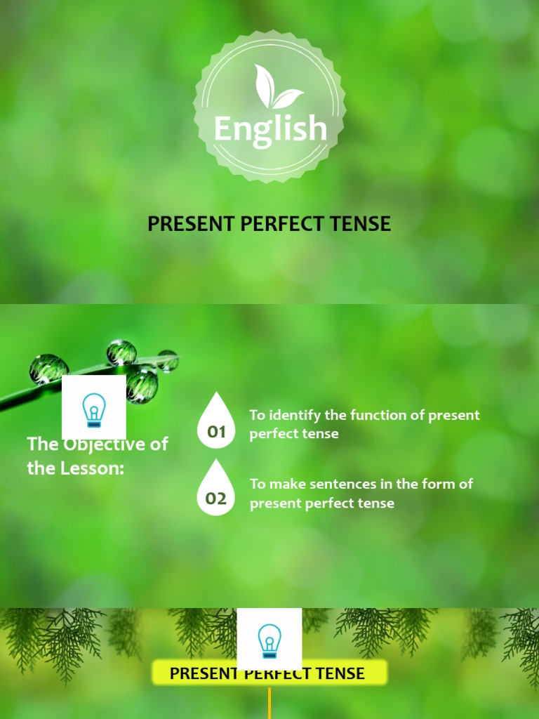 Present Perfect Tense Guide for Class 9 | PDF | Verb | Grammar
