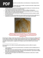 Ángulo de Louis | PDF | Tórax | Anatomía humana