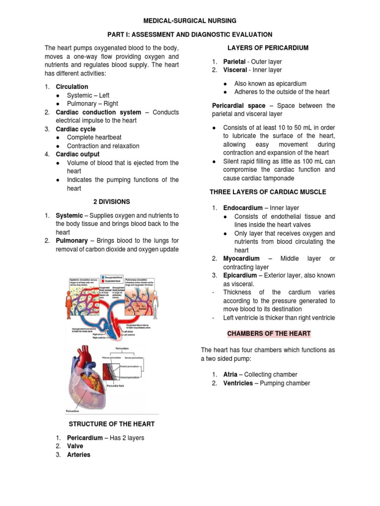 CARDIO 1. Assessment and Diagnostic - Reviewer | PDF | Heart | Coronary Circulation