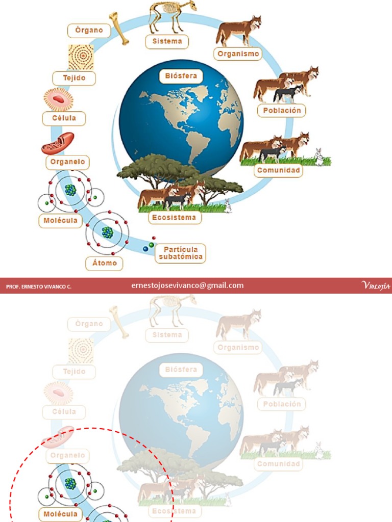 3a - 23 BM Bases de Enlaces Químicos VC | PDF | Enlace covalente ...