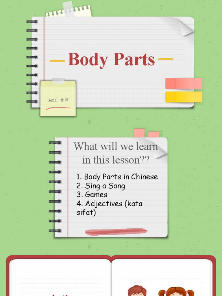 Body Parts in Chinese | PDF