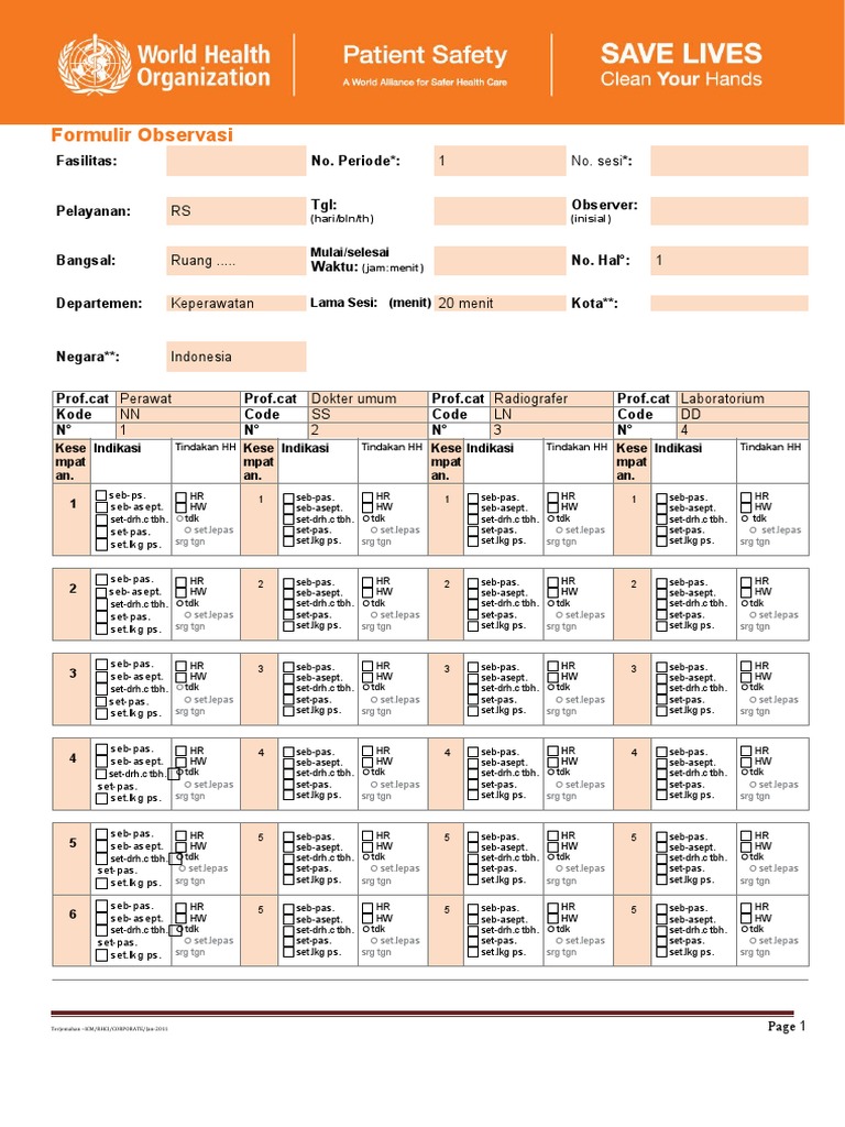 Form Audit Hh Who Pdf