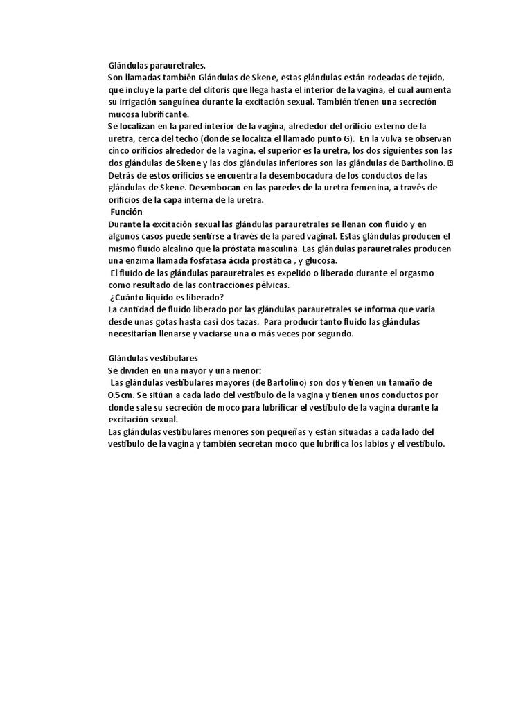 Glándulas Parauretrales Pdf