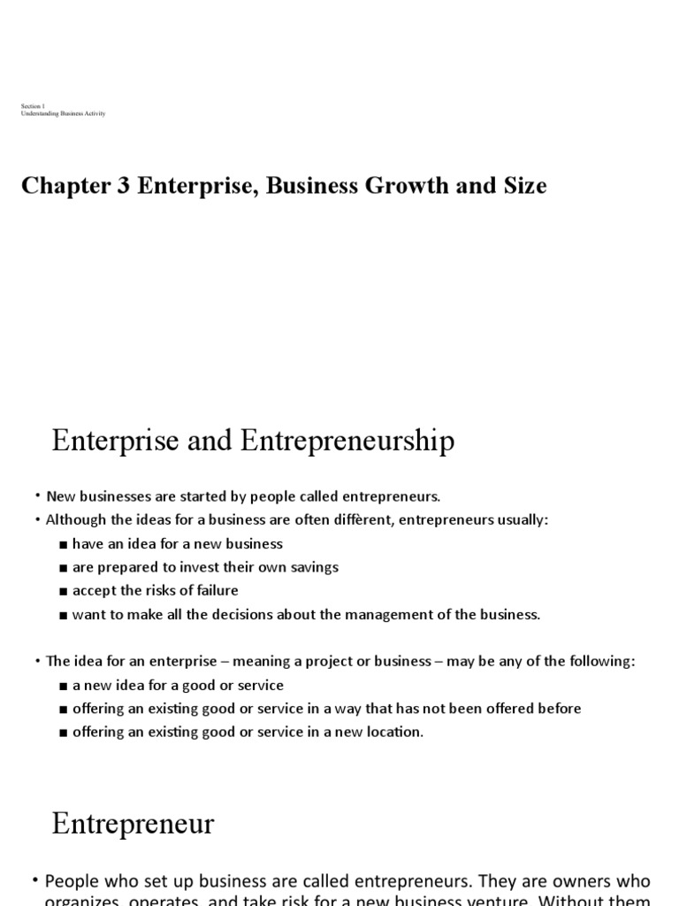 Entrepreneurial Business Growth Insights | PDF | Entrepreneurship ...