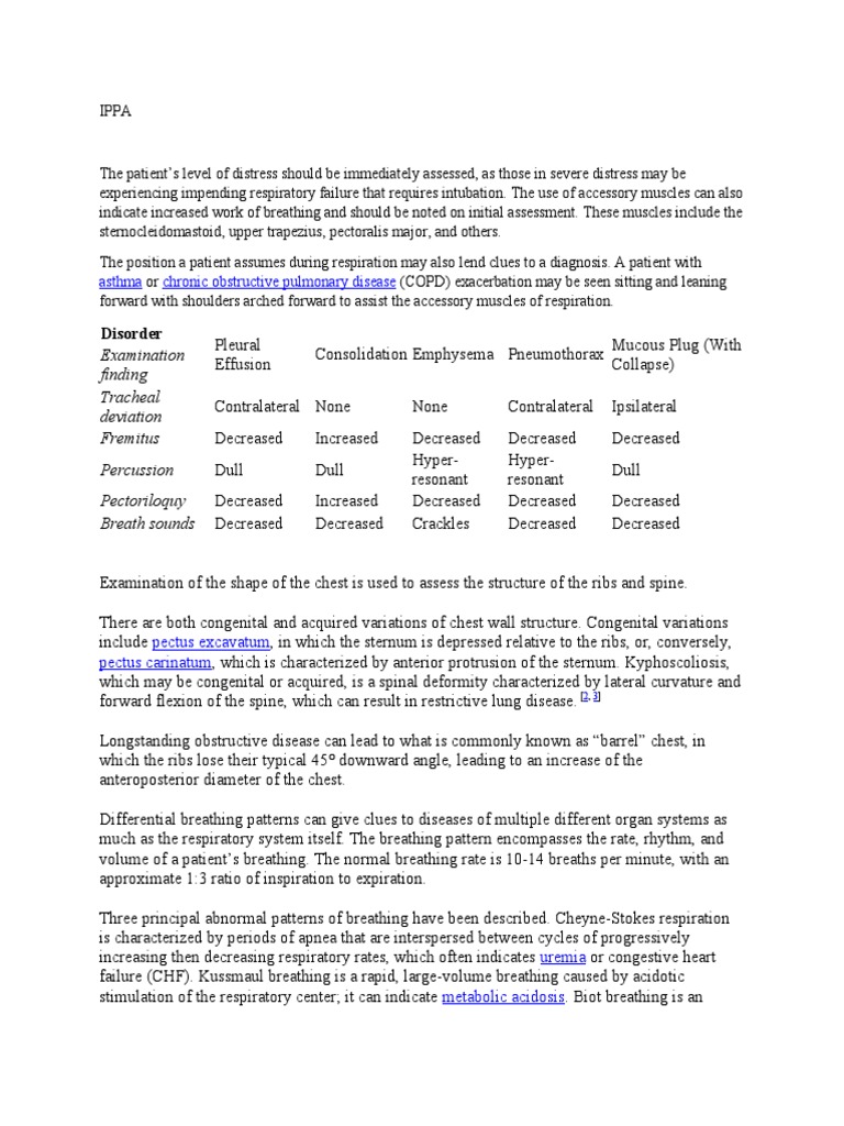Ippa Pulmonary Exam | PDF
