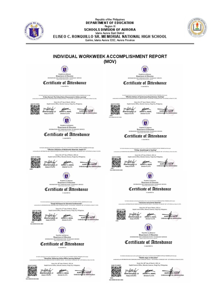 Individual Workweek Report Eliseo C Ronquillo Pdf Travel
