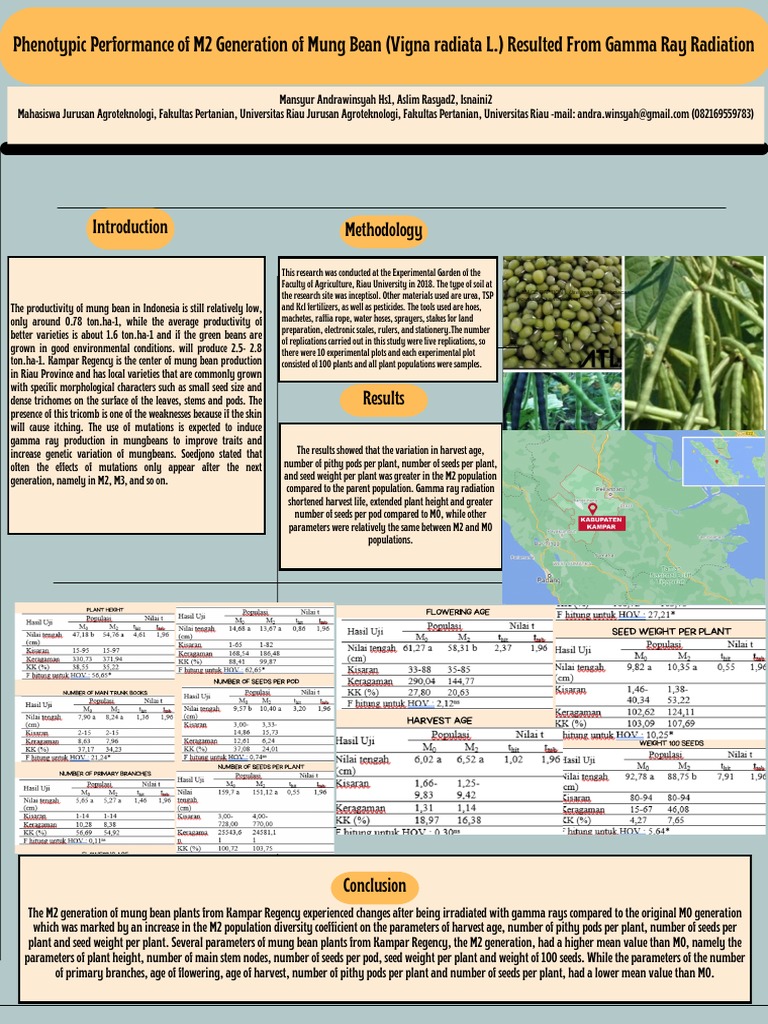 Colorful Illustrated Science Information Poster | PDF