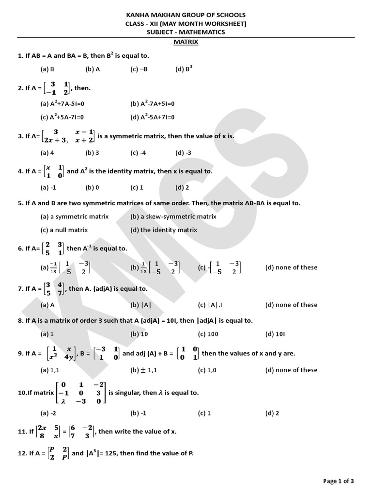 Class-12 Matrix Worksheet | PDF | Matrix (Mathematics) | Functions And ...