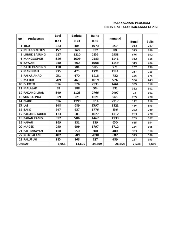 DATA SASARAN PROGRAM 2023 Ok | PDF