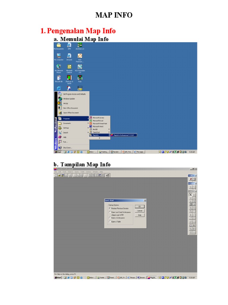 MAP INFO Training UGM | PDF