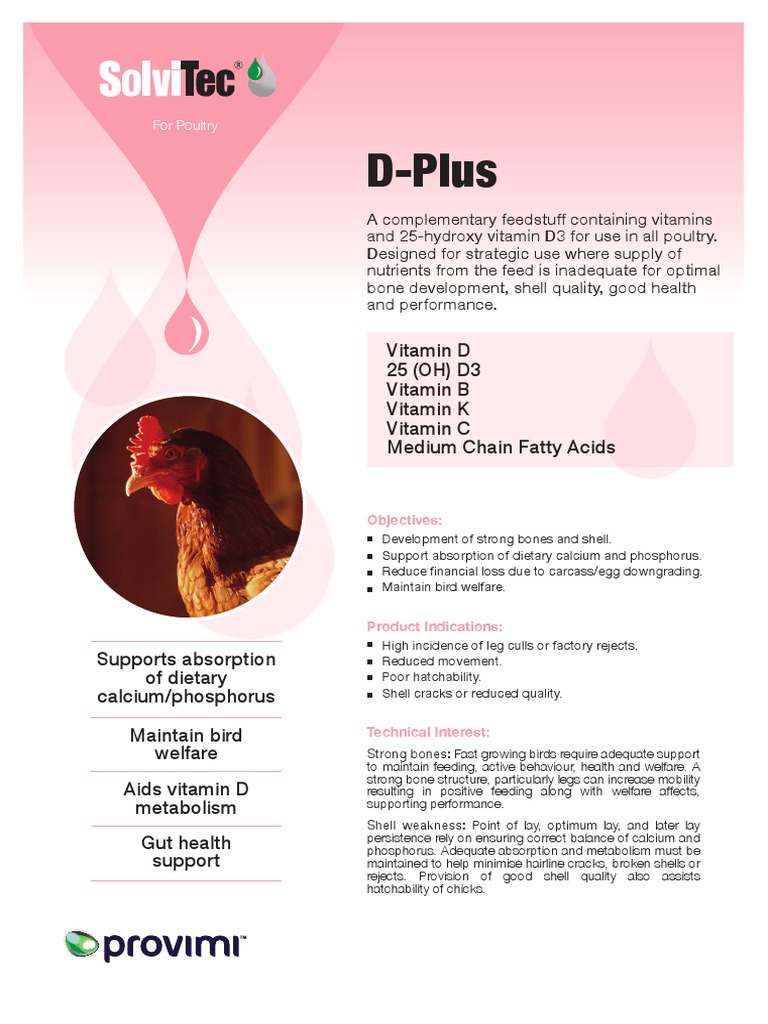 D Plus TDS | PDF | Vitamin | Vitamin D