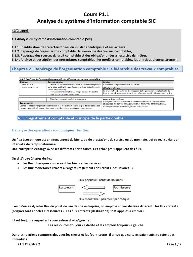 Cours P1.1 Chapitre 2 | PDF | Comptabilité | Progiciel de gestion intégré