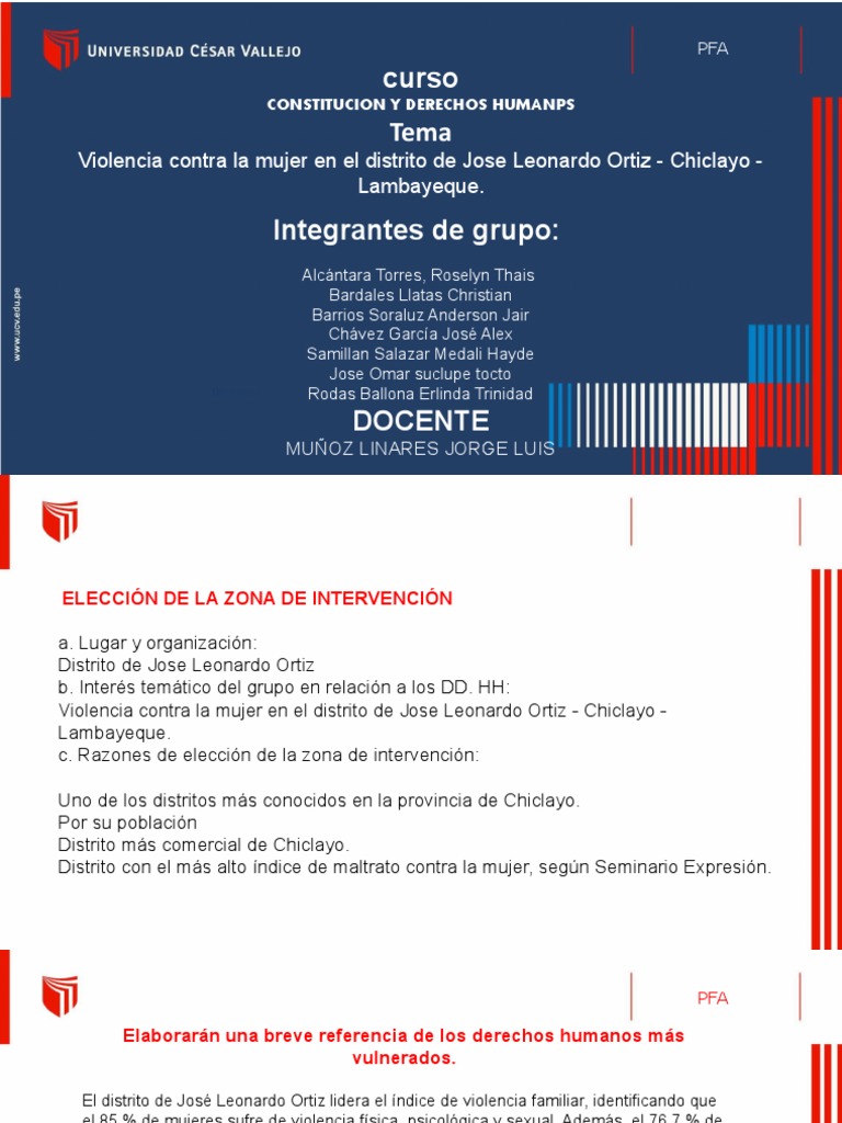 Constitucion Y Derechos Humanos Pdf