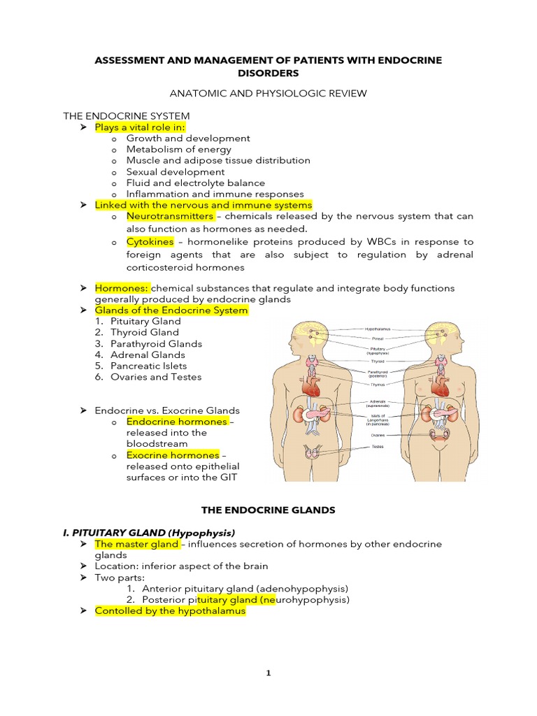 Endocrine Disorders | PDF | Endocrine System | Adrenal Gland