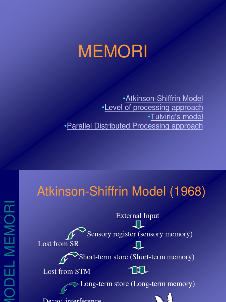 4-Model Memori Dan STM | PDF | Memory | Working Memory