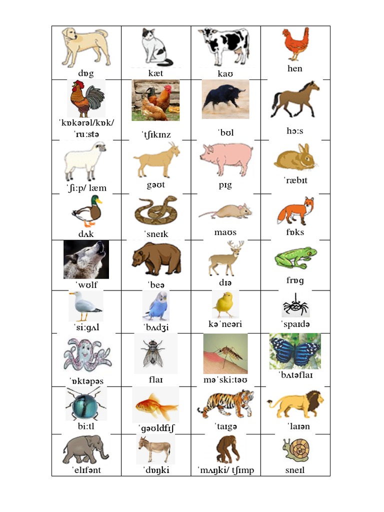 Animal Names and Descriptions for Kids | PDF