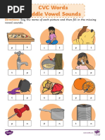 CVC Word Activity Booklet | PDF
