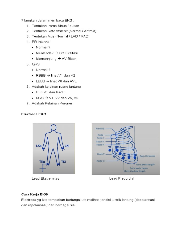 7 Langkah Dalam Membaca EKG | PDF